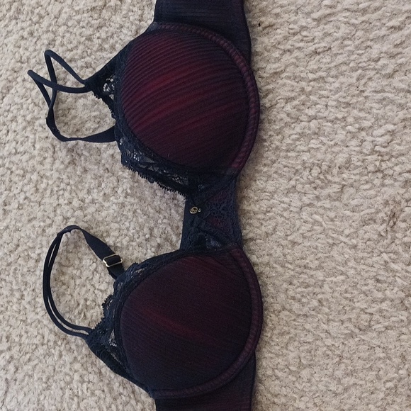 Jennifer Lopez | Intimates & Sleepwear | Jennifer Lopez Bra | Poshmark